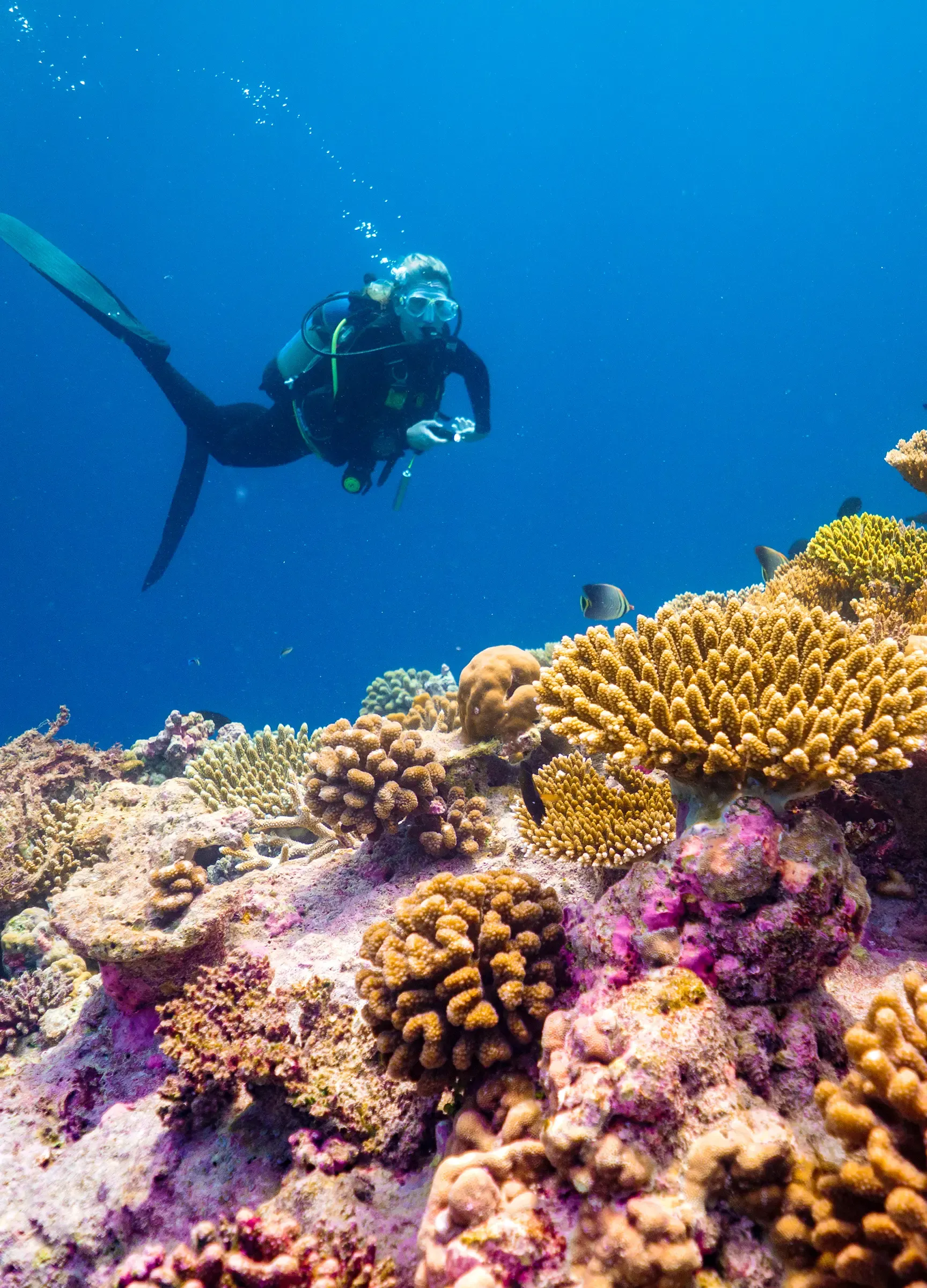 Best Green Vacations in Paradise | Baglioni Resort Maldives